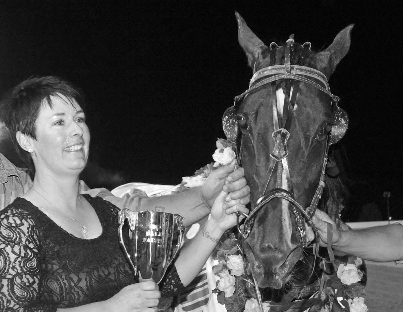 STEWART’S MAGNIFICENT SEVEN | National Trotguide