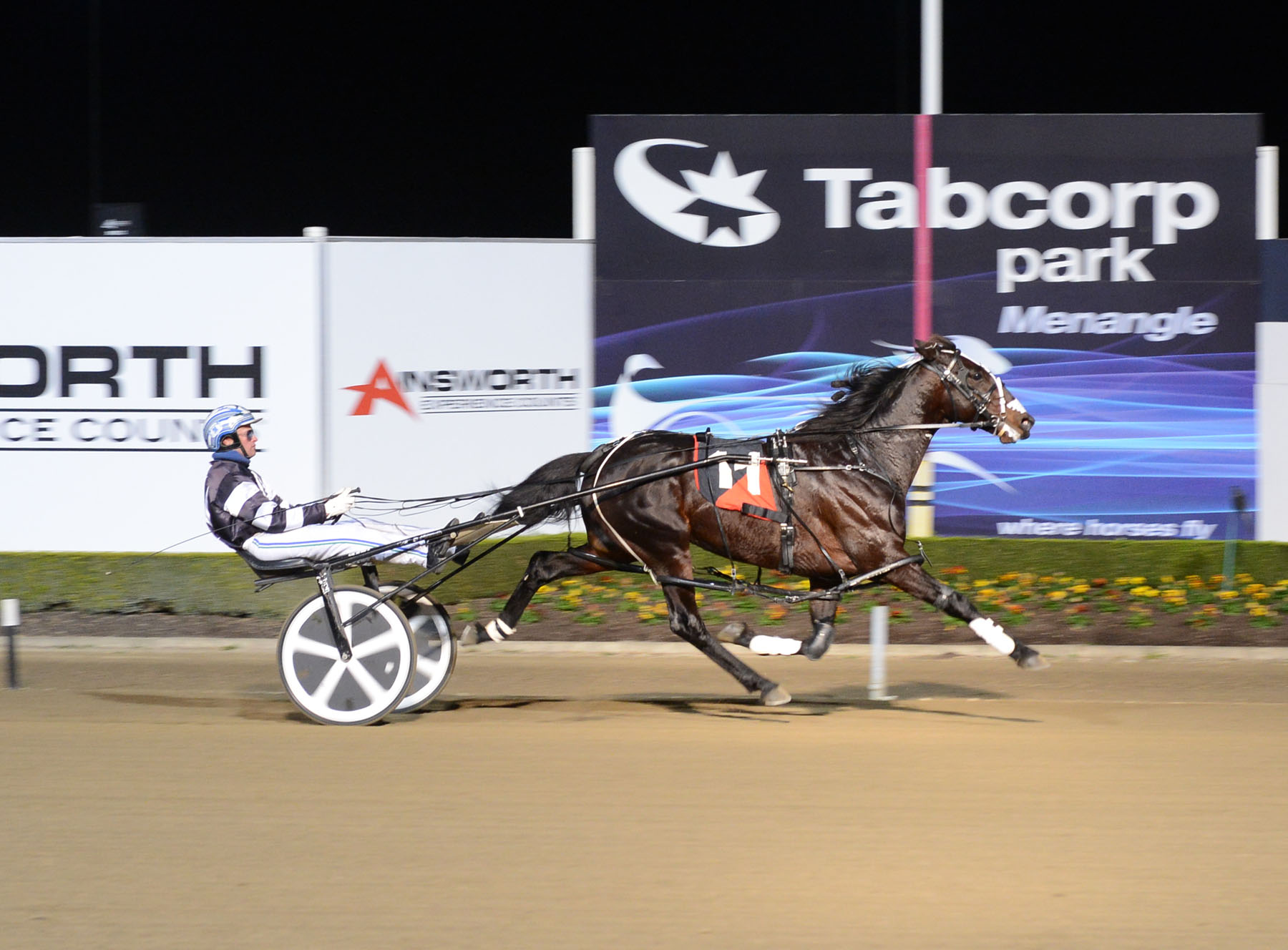 Surpassing racing feats in the breeding barn | National Trotguide