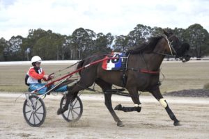 cemento rapido | National Trotguide