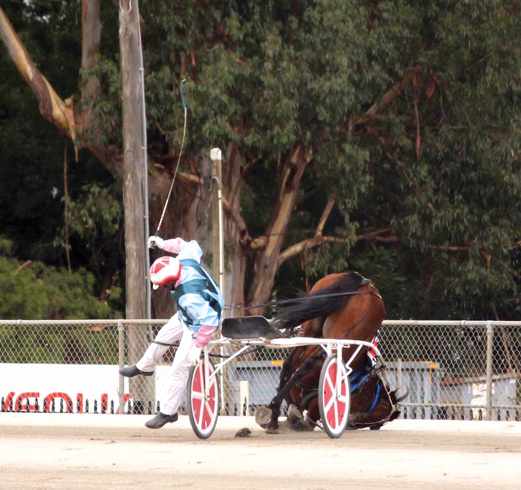 chris alford fall galley | National Trotguide