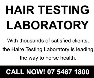 hair-testing-Lab_300x250 | National Trotguide