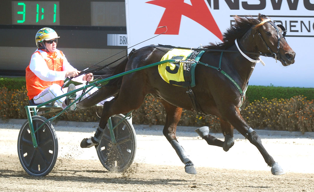 Gavin Fitzpatrick – Castlereagh1 | National Trotguide