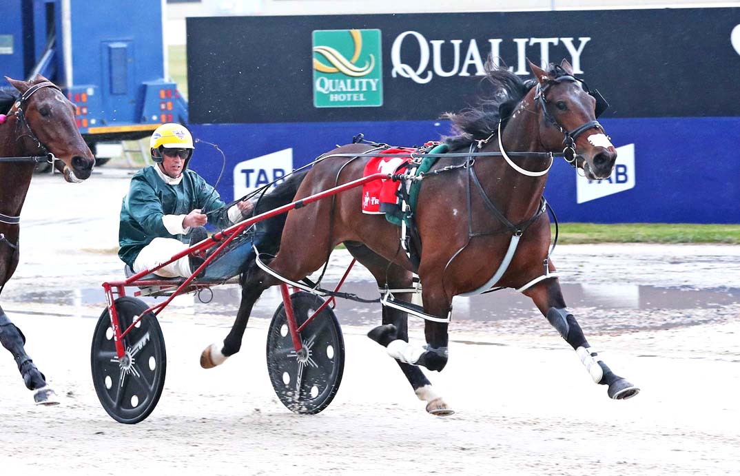 King Of Swing_20170827 | National Trotguide