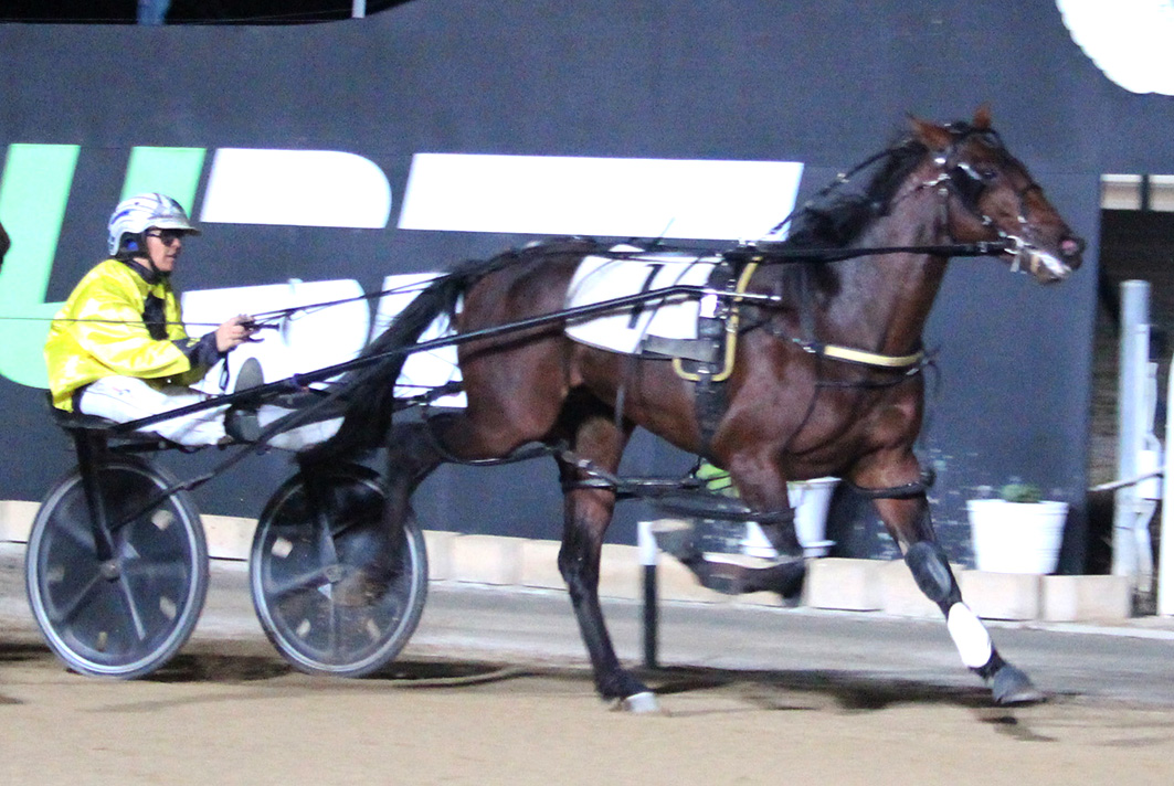 Mackalan (Danielle Hill) 200418 | National Trotguide