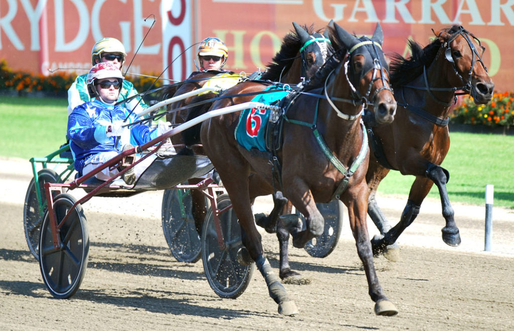 Jack Trainor – Pegasus Elegance | National Trotguide