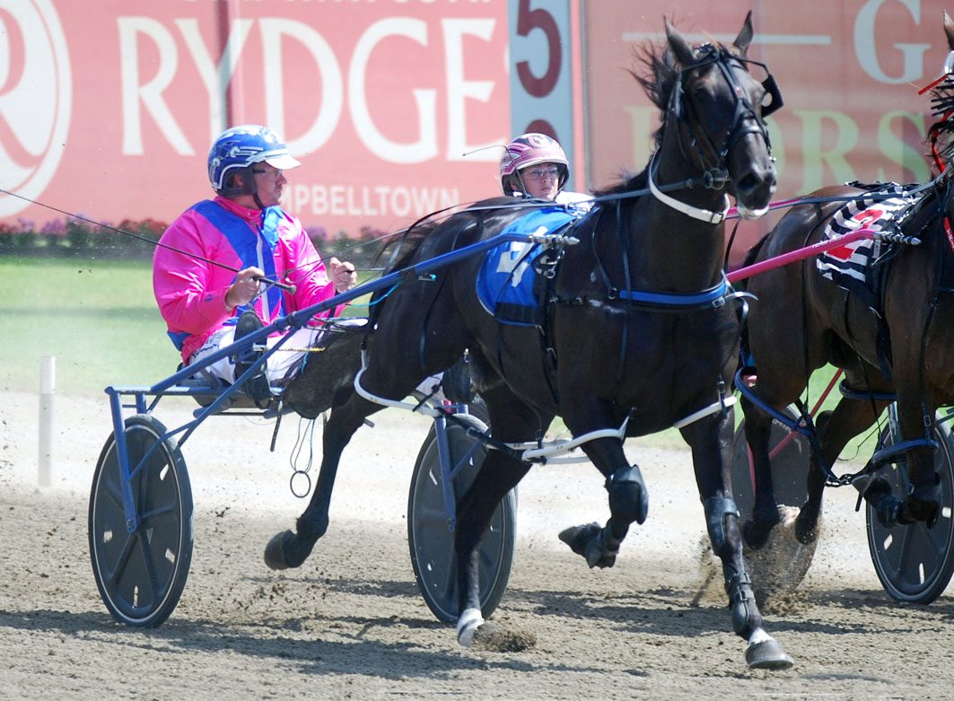 Miss Hoolligan | National Trotguide