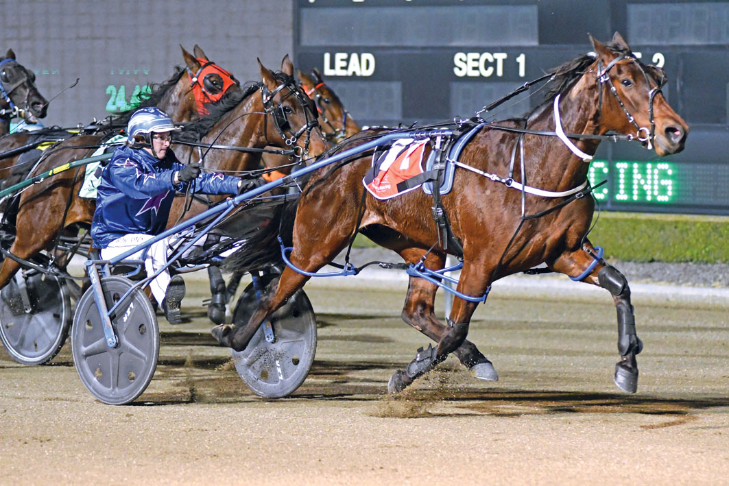 Man Hands | National Trotguide