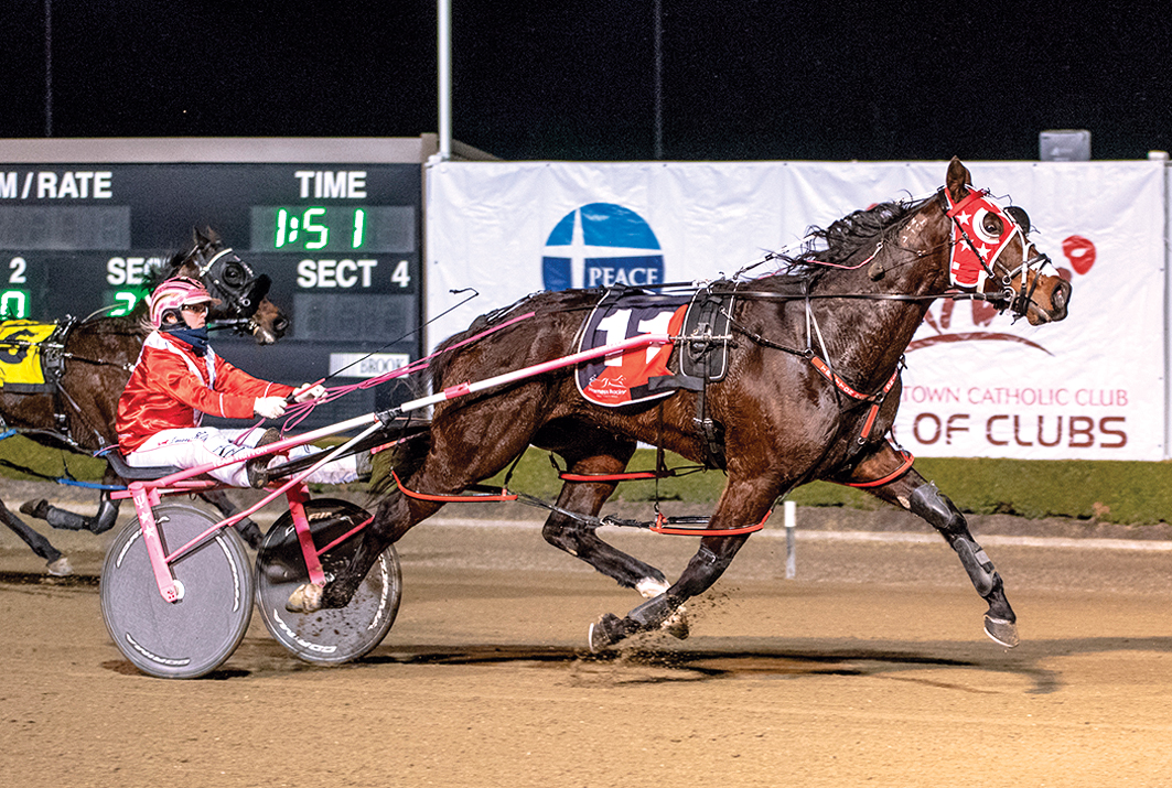 Gotta Go Ya Hu 1 | National Trotguide