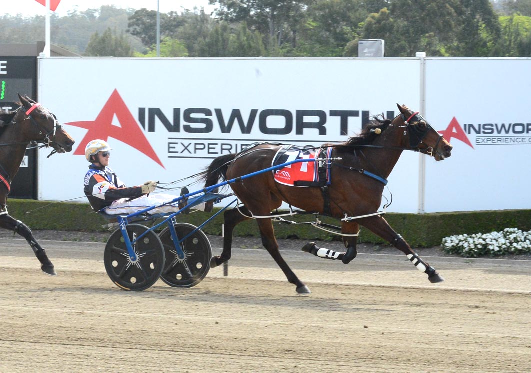 heza bromac | National Trotguide