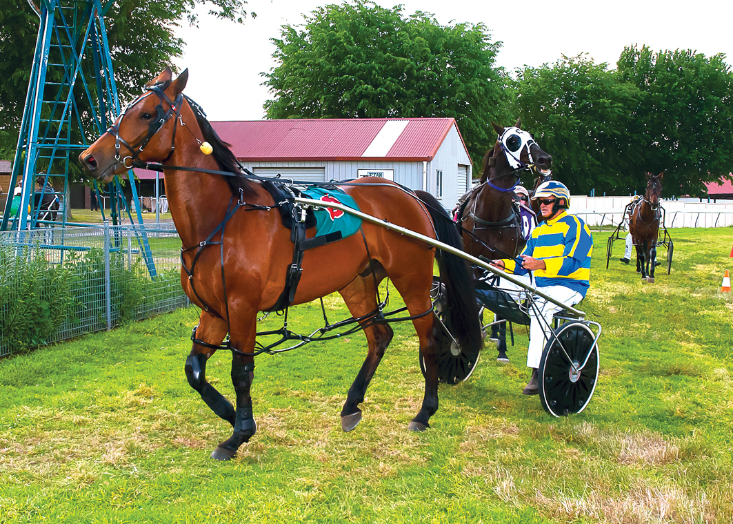 Shadow Dealer 2 | National Trotguide