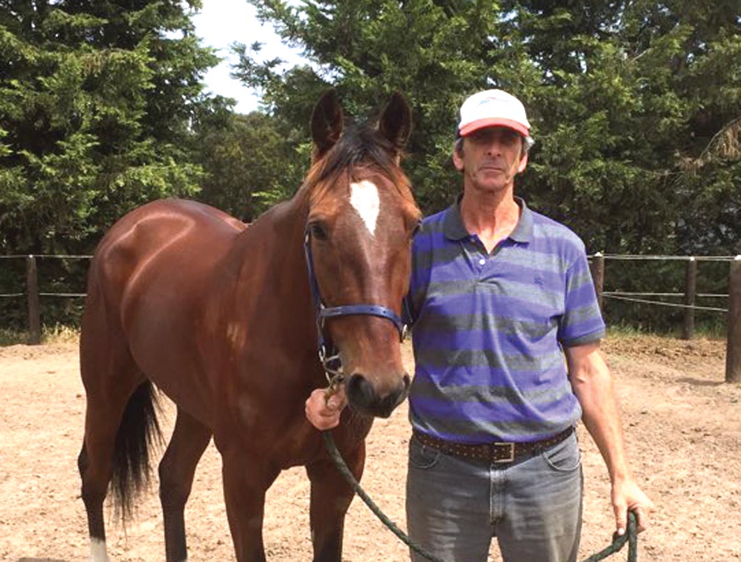 DAVID BARBETTI | National Trotguide