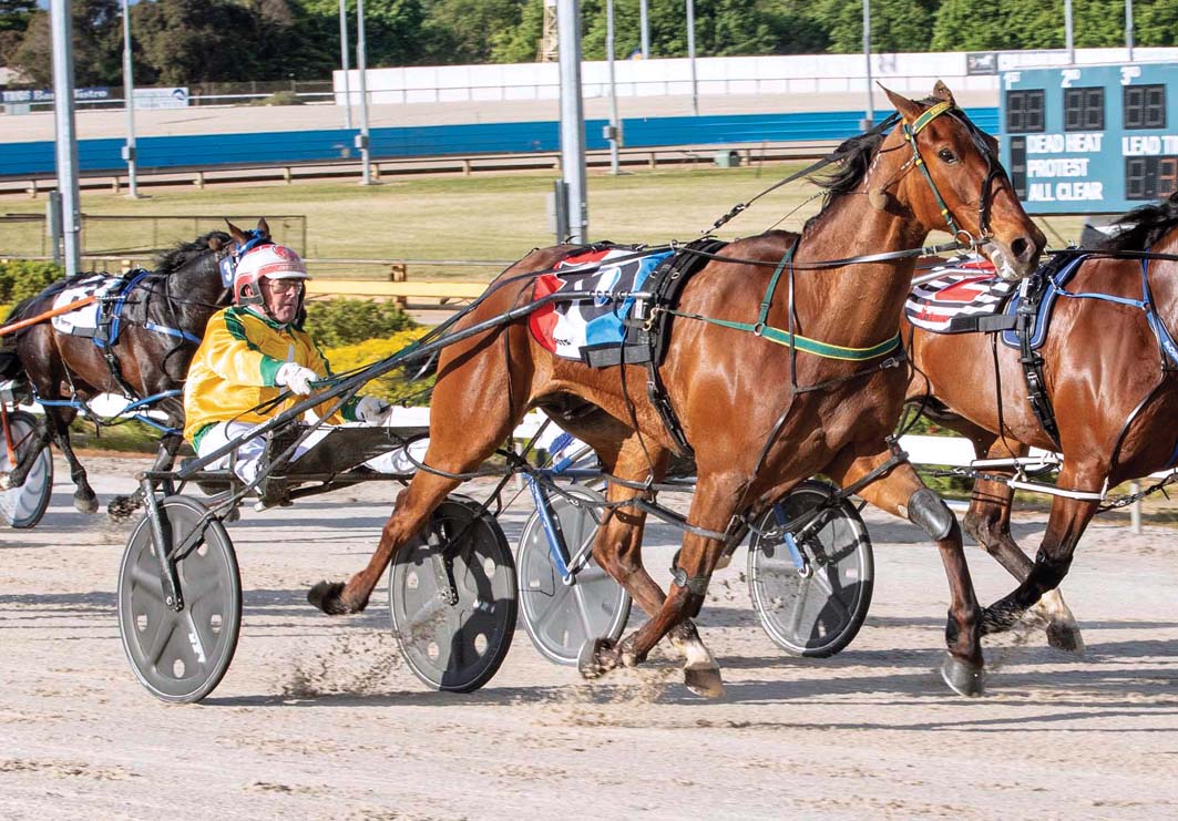 Phoenix Prince_20181027 | National Trotguide