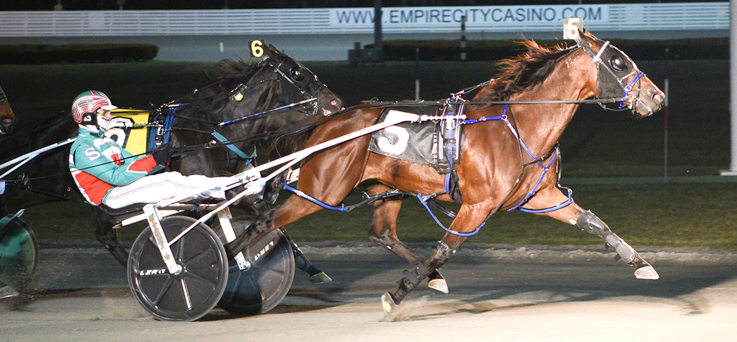 Weona Sizzler A-Chris Brokate pix | National Trotguide