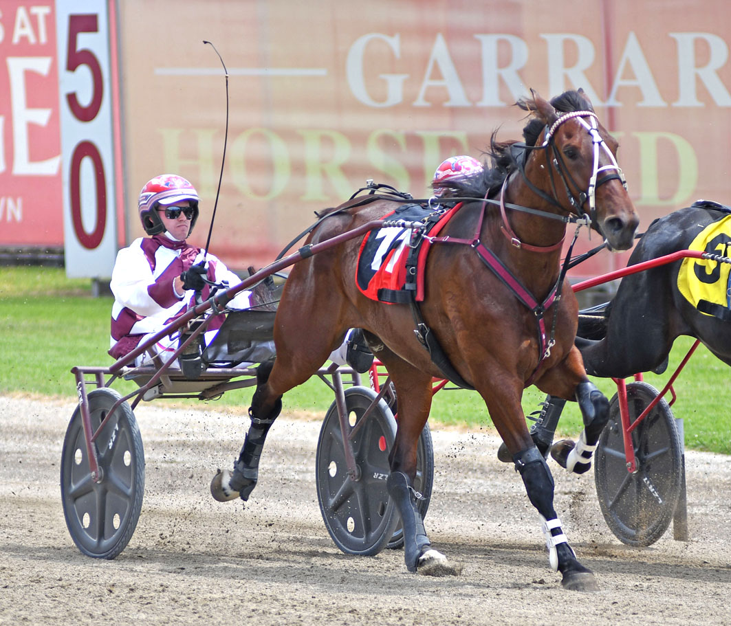 Chris Geary – Princess Phoenix | National Trotguide