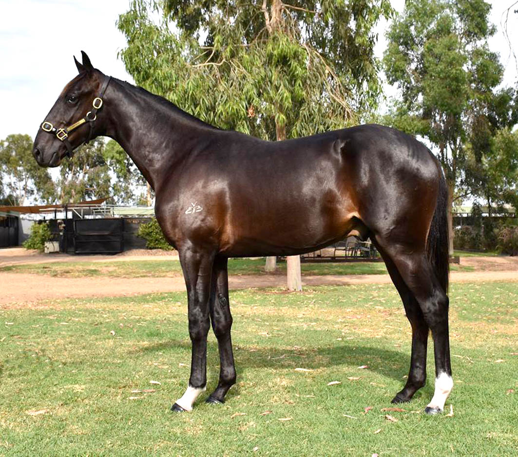 Are these your lucky APG lottery numbers? | National Trotguide