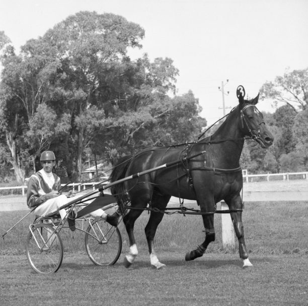 Harness Racing farewells another champion | National Trotguide