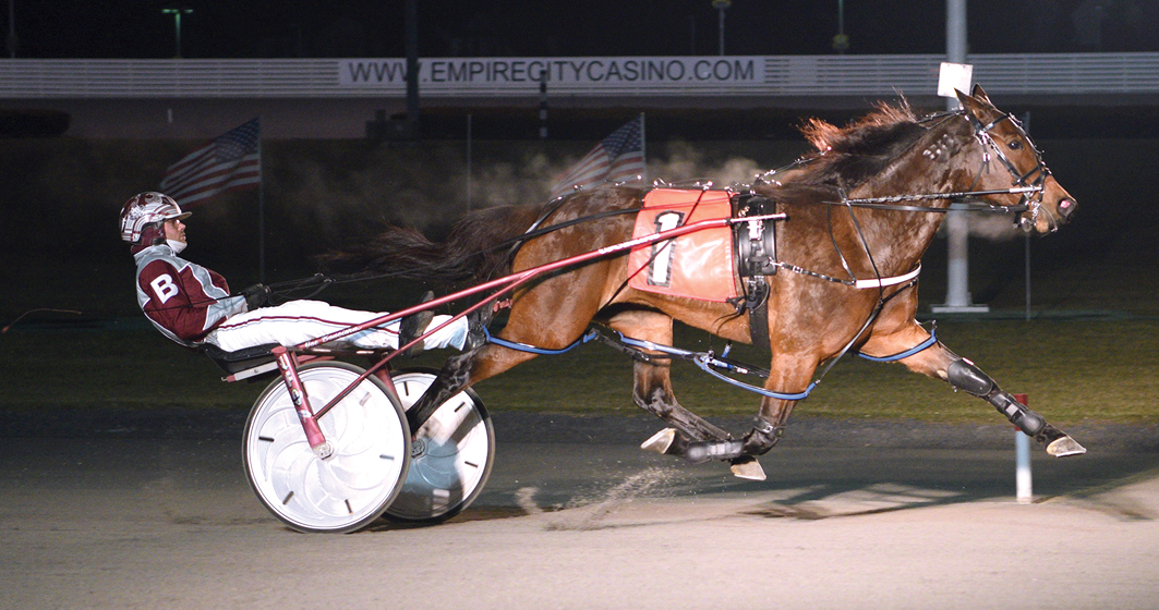 Former Aussie combined at Yonkers | National Trotguide