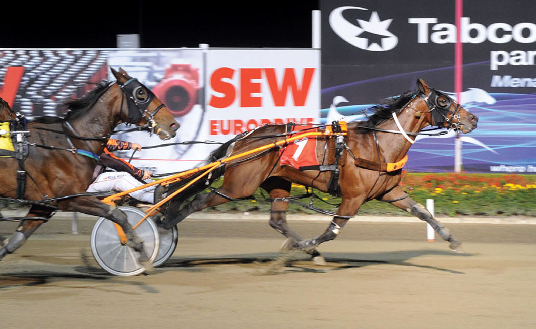 ISAAC NZ | National Trotguide