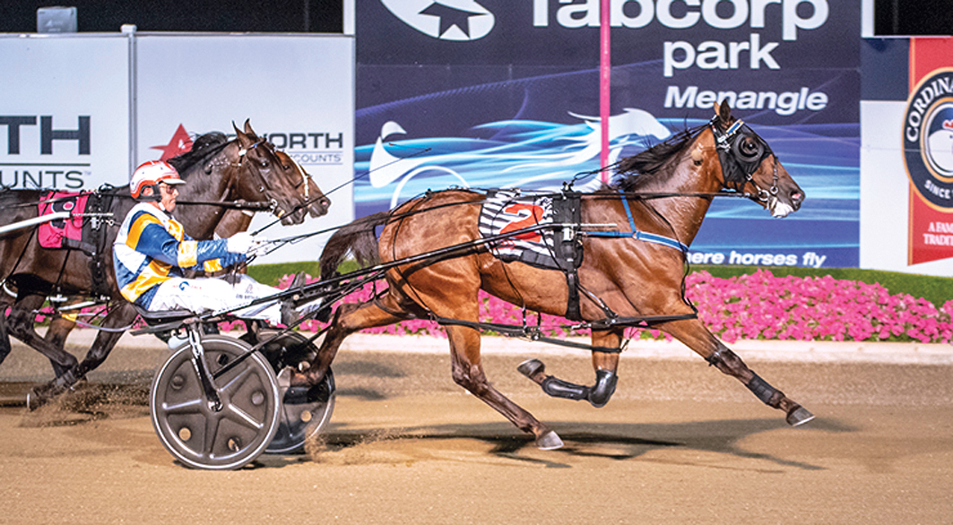 Mach Dan Social Media | National Trotguide