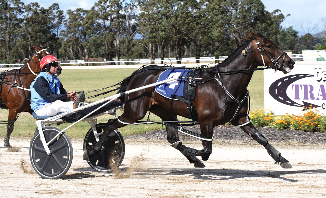 Still Hungover (Ricky Duggan) winning at Carrick Park on Sunday. Photo ...