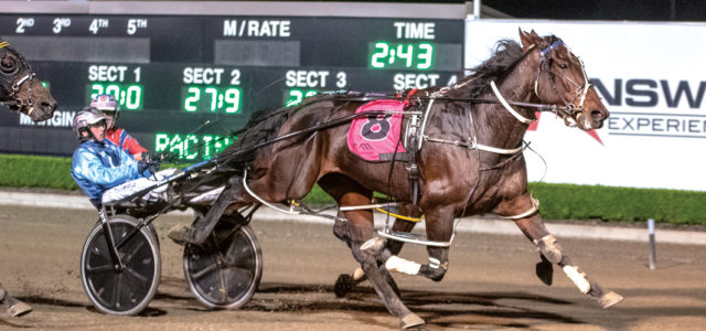 Uncle Jay | National Trotguide