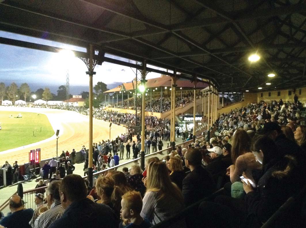 wayville crowd | National Trotguide