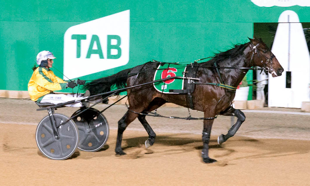 Pandering | National Trotguide