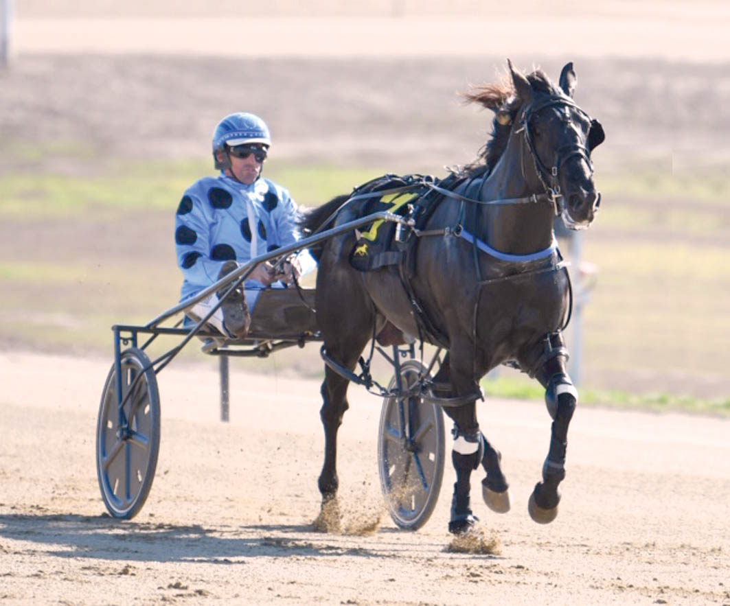 Blaster Ranger June 2 | National Trotguide