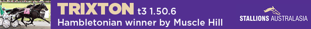 StallionAust-Trixton_640x60 | National Trotguide