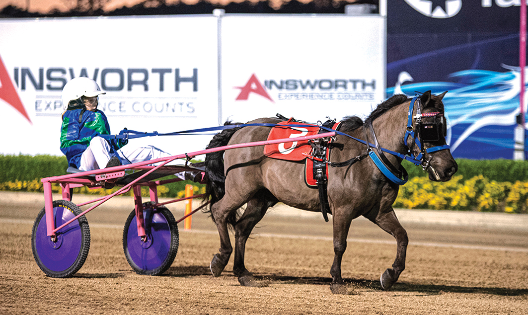 Lily McCarthy & Sparkling Star Social Media | National Trotguide