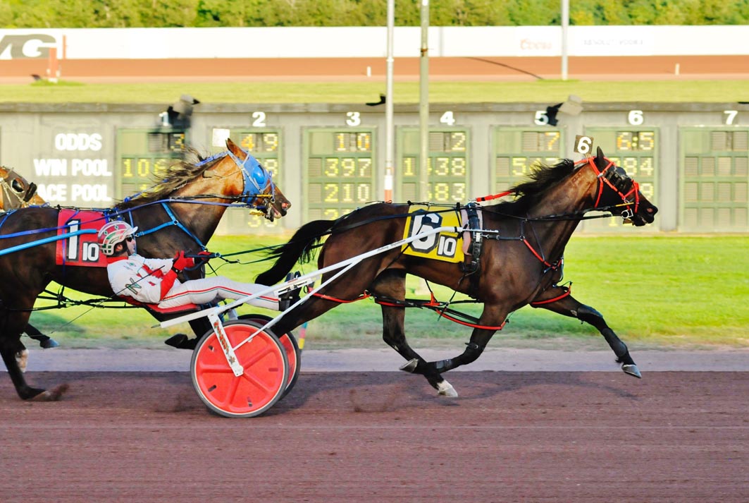 Lady Dela Renta | National Trotguide