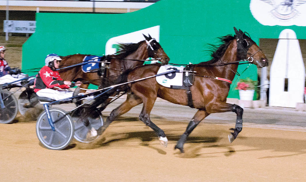 SirRoman | National Trotguide