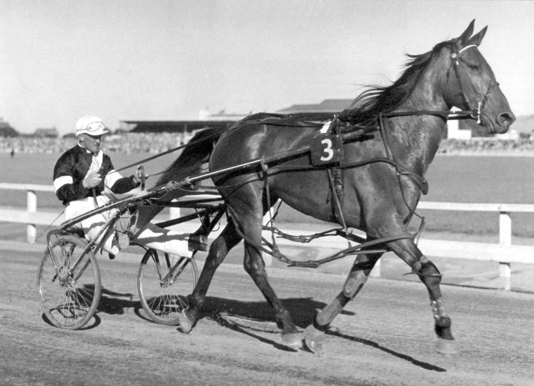 Super trotter creates history | National Trotguide