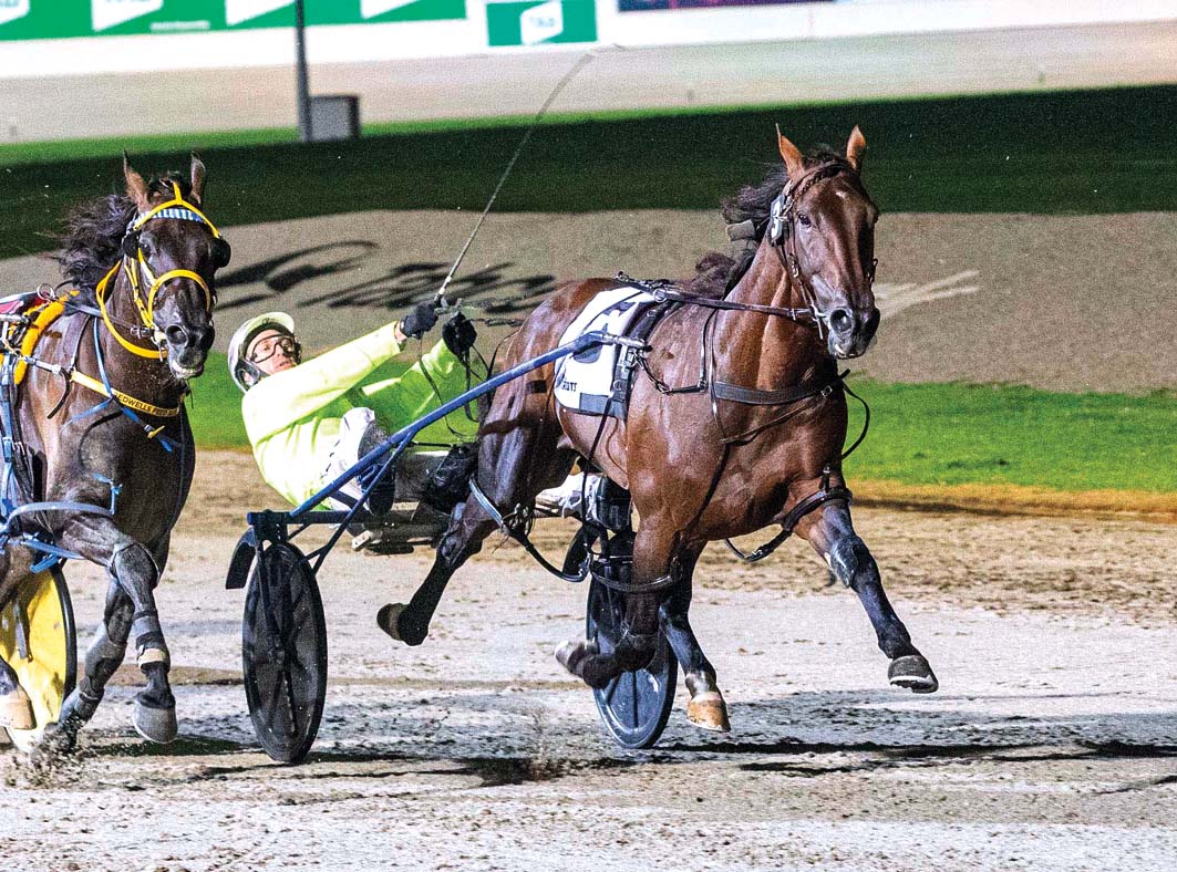 King claims top throne again | National Trotguide