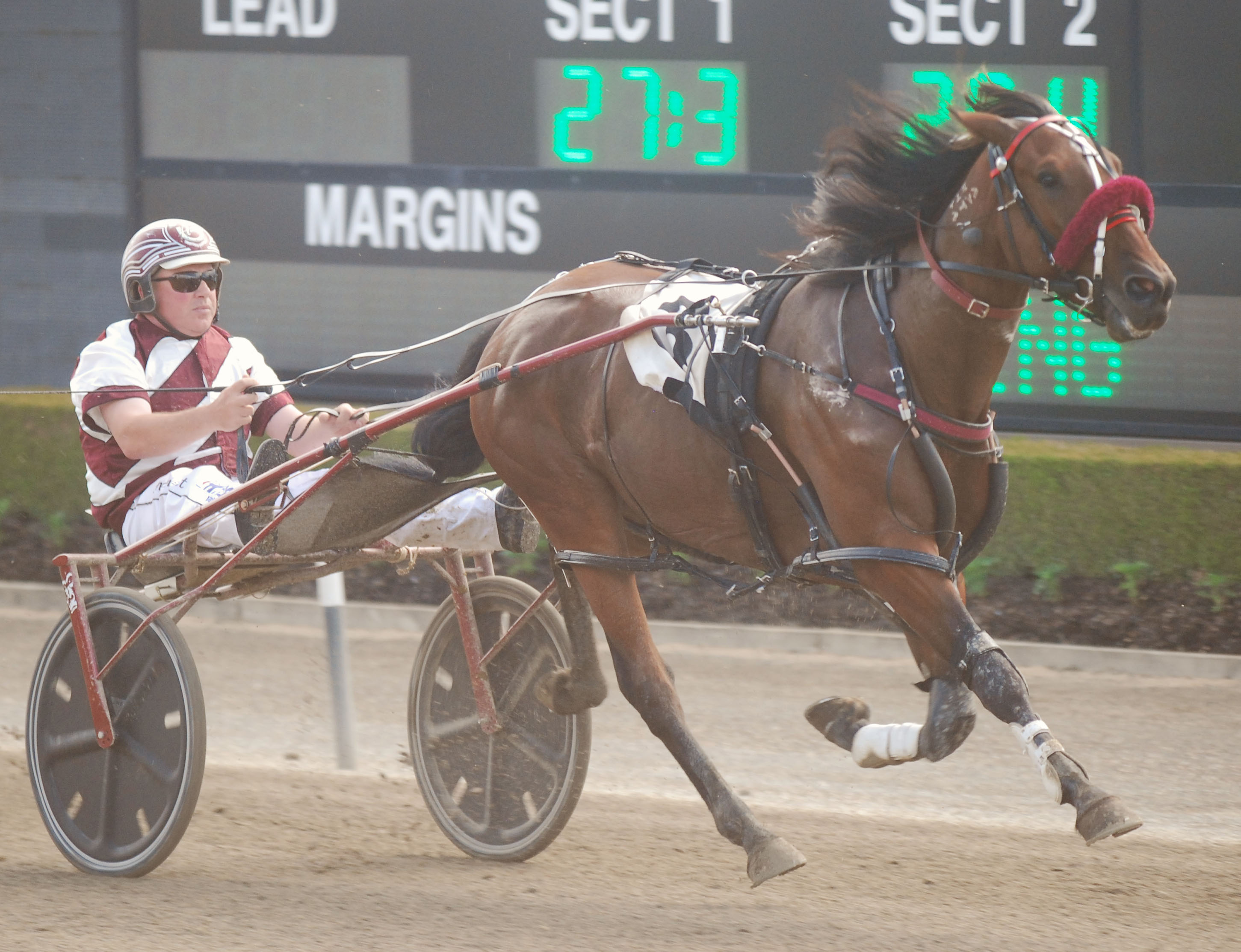 Let It Ride | National Trotguide