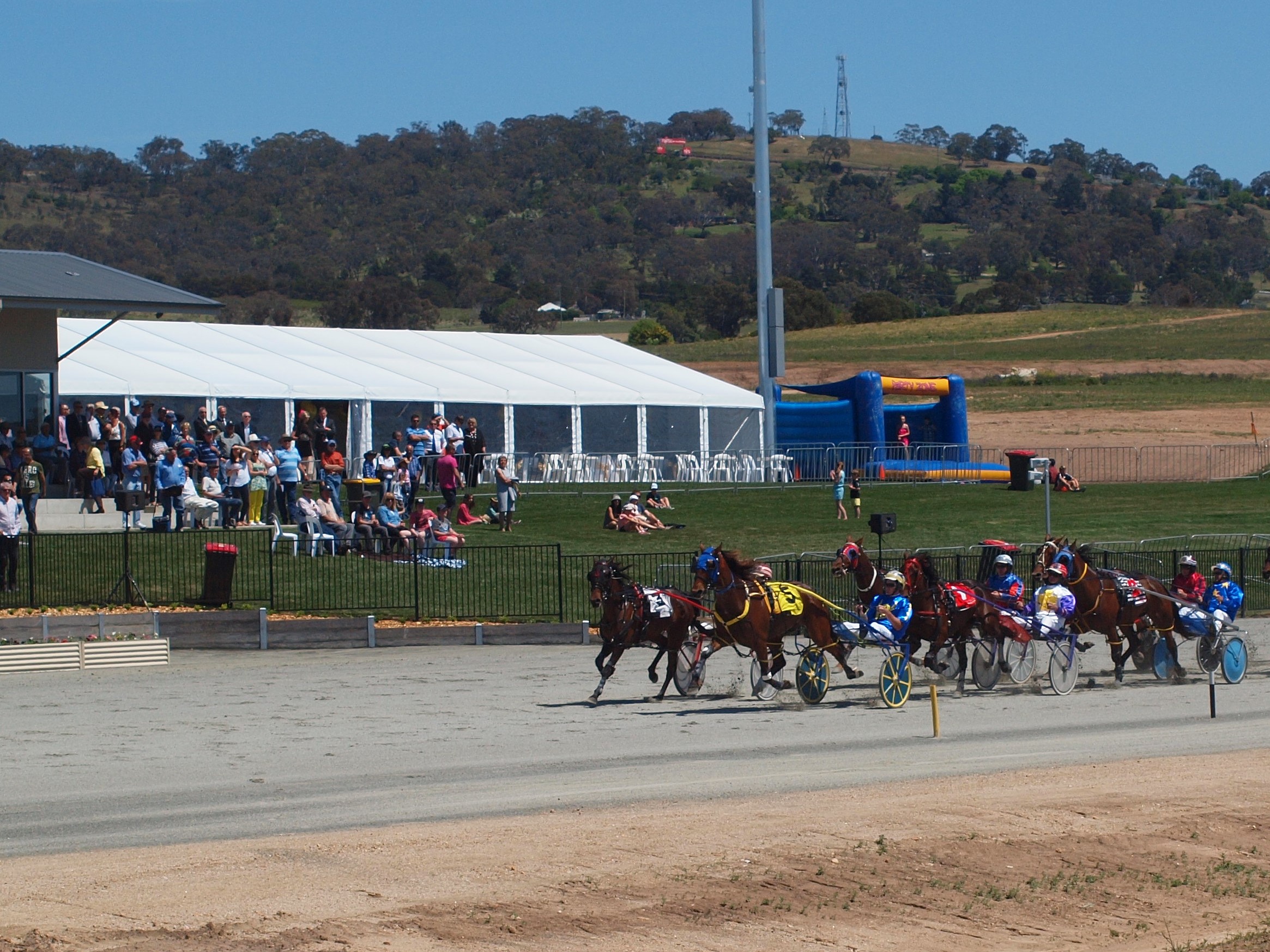 This seems the ‘Ideal Escape’ for Country Series final | National Trotguide