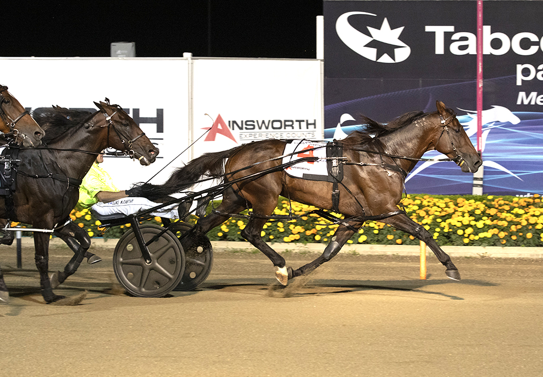 KING OF SWING NZ | National Trotguide