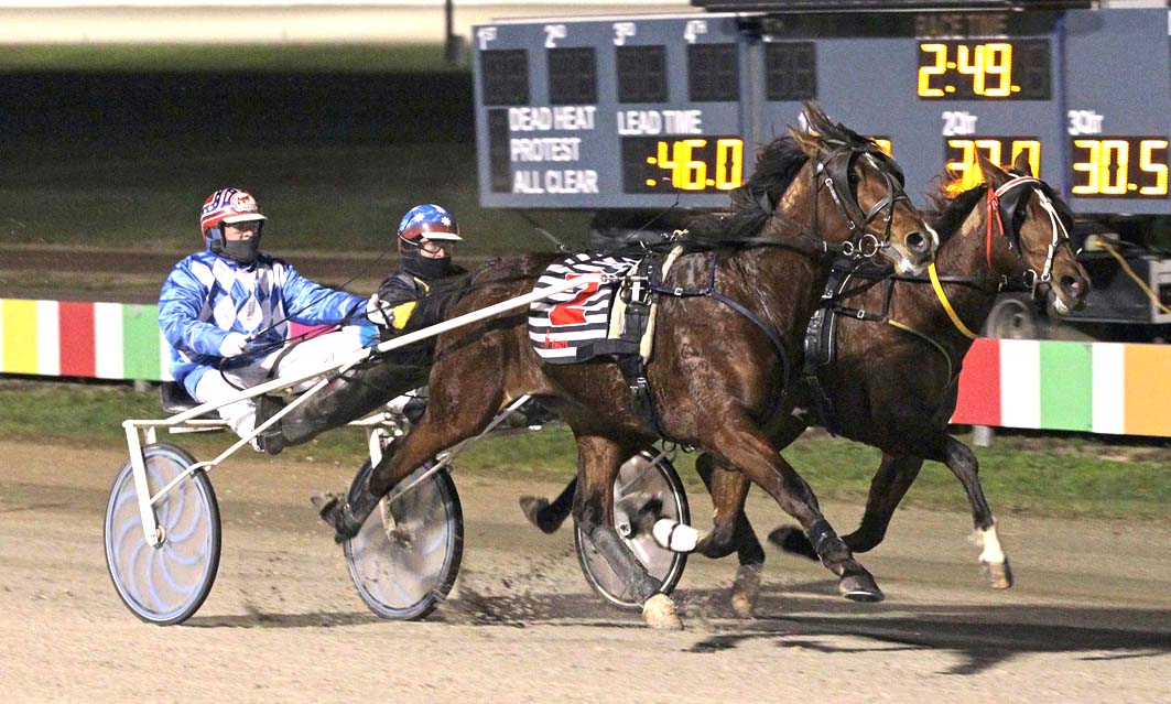 Confident despite long odds | National Trotguide