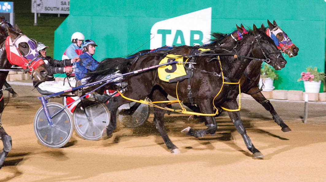 MAJOR TRUMP | National Trotguide