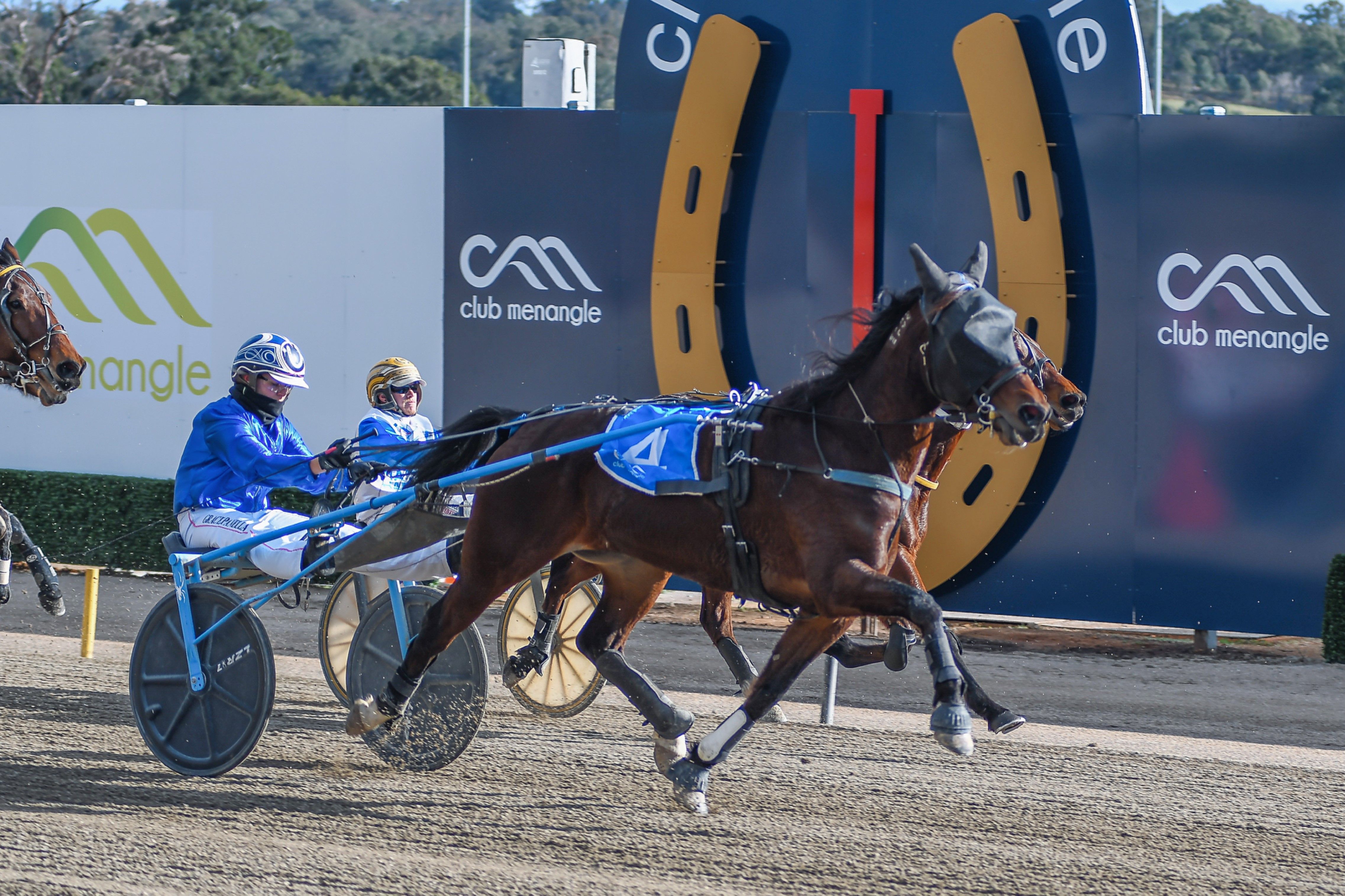 Grace gets her moment in the sun | National Trotguide