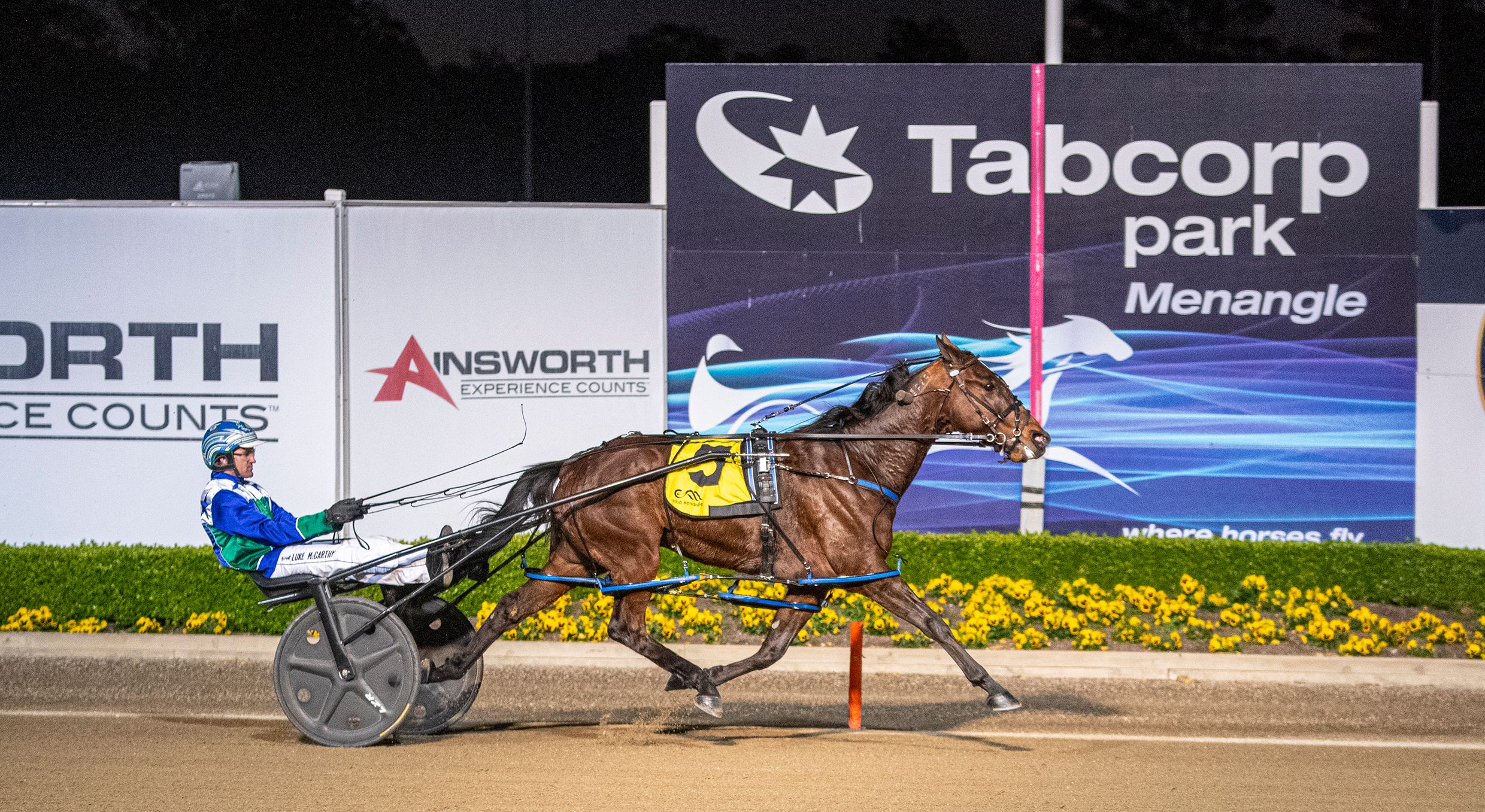 Benecio – Luke McCarthy | National Trotguide