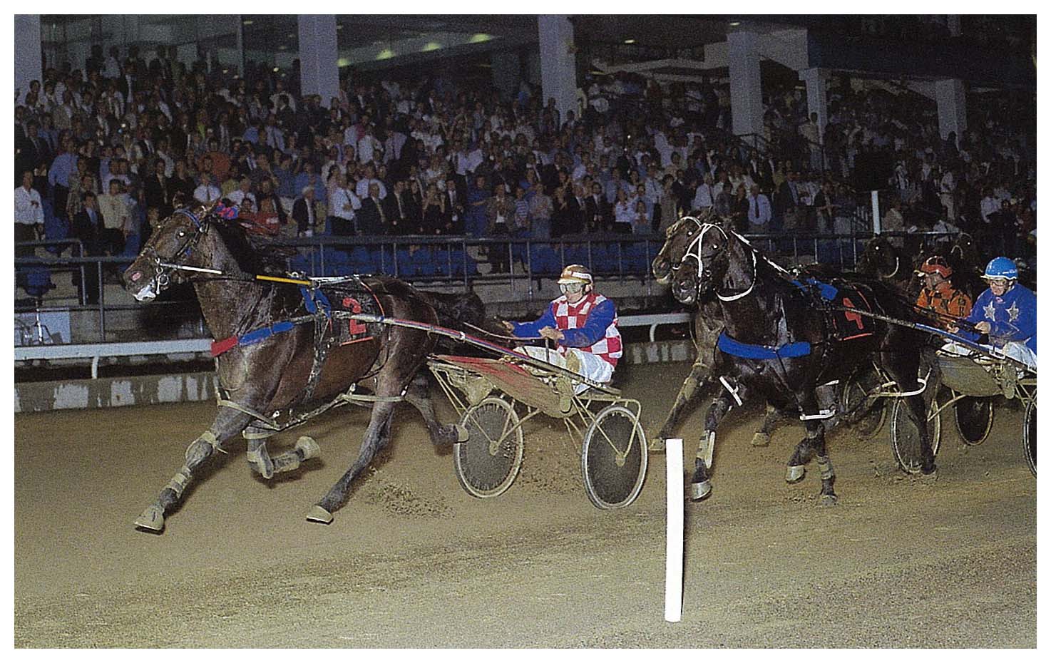 Back from the dead | National Trotguide