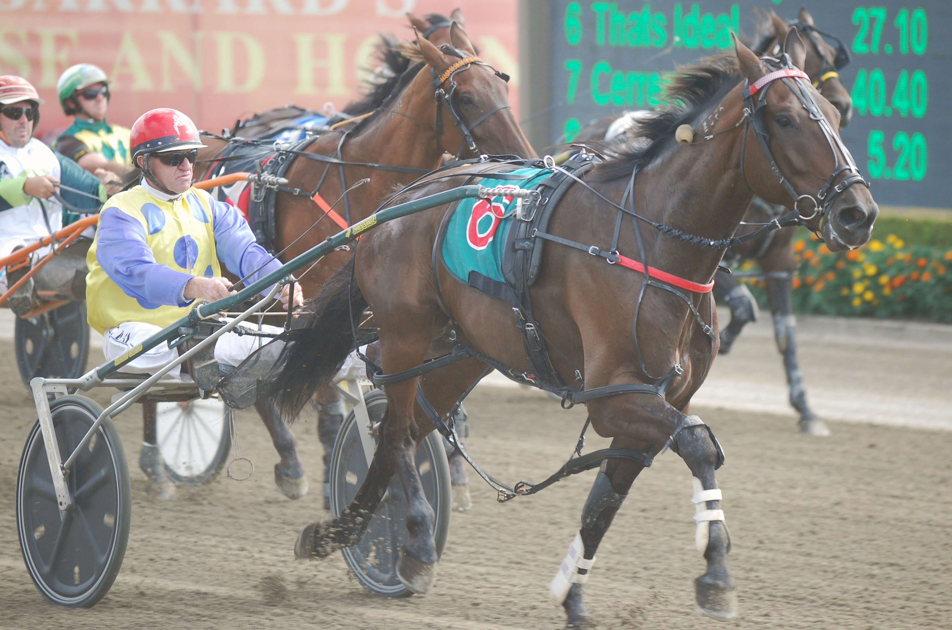 This could be a ‘Day’ to remember | National Trotguide