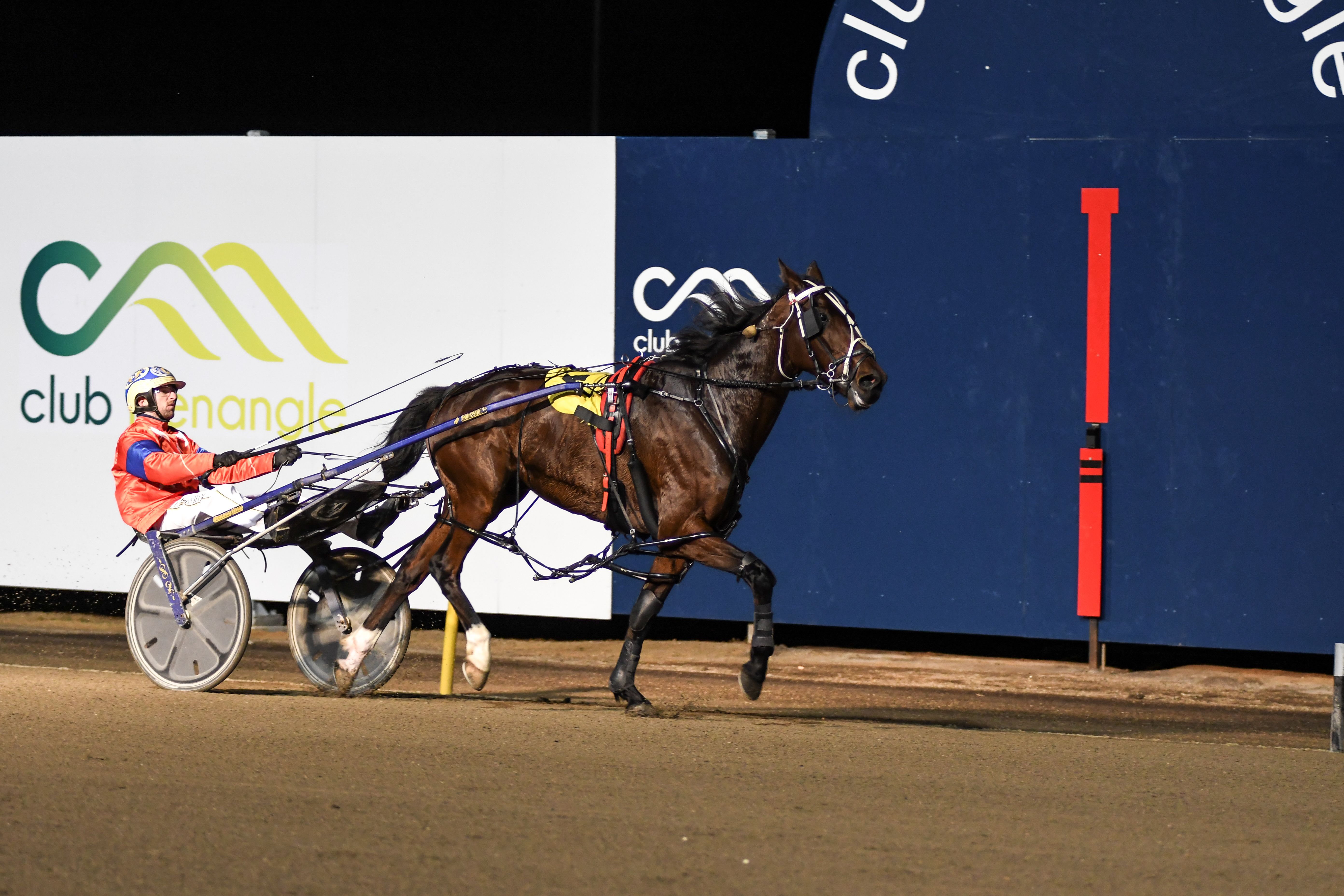 Whereyabinboppin wins at Menangle | National Trotguide