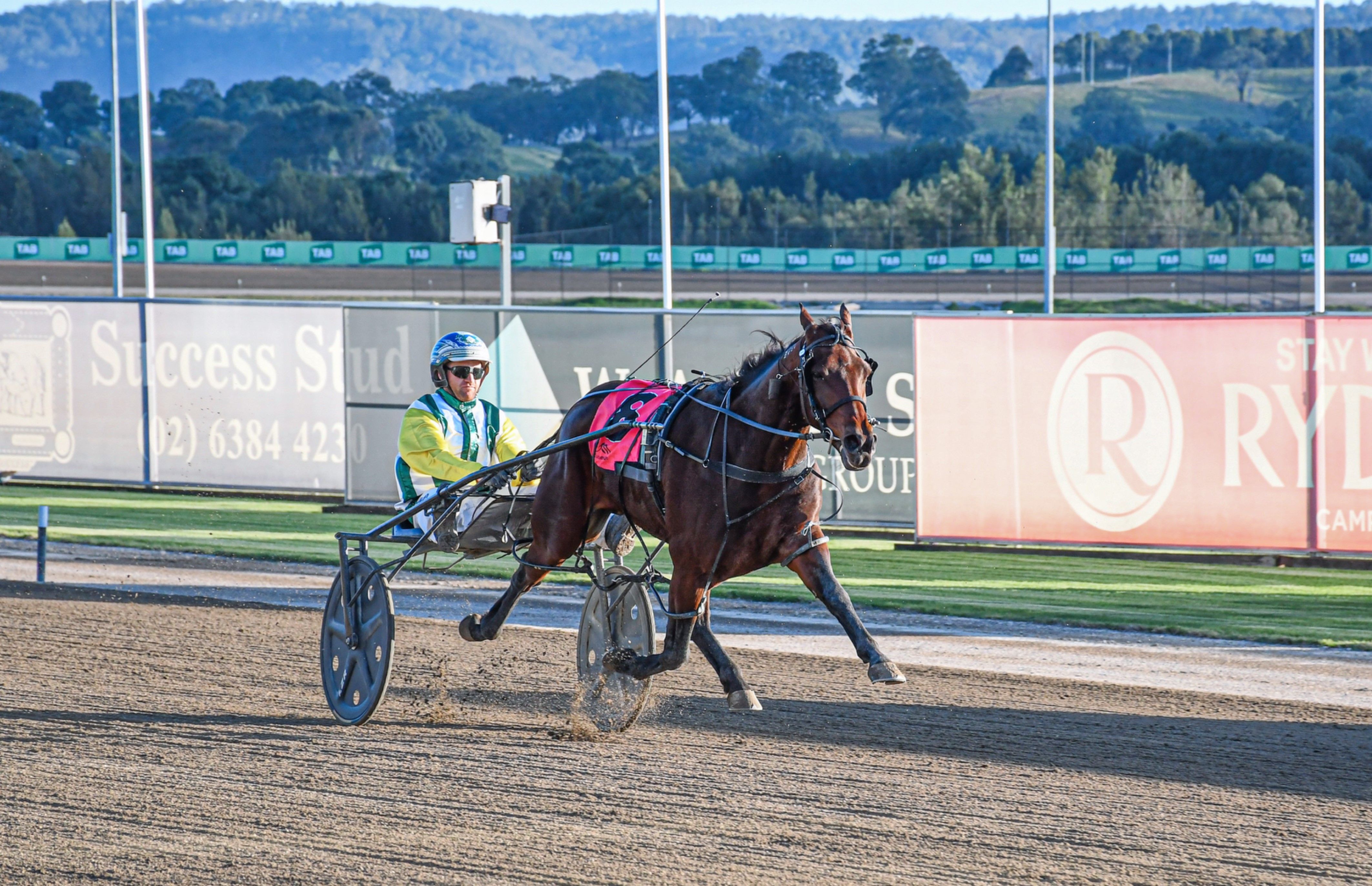Royal Aurora scores at Menangle | National Trotguide