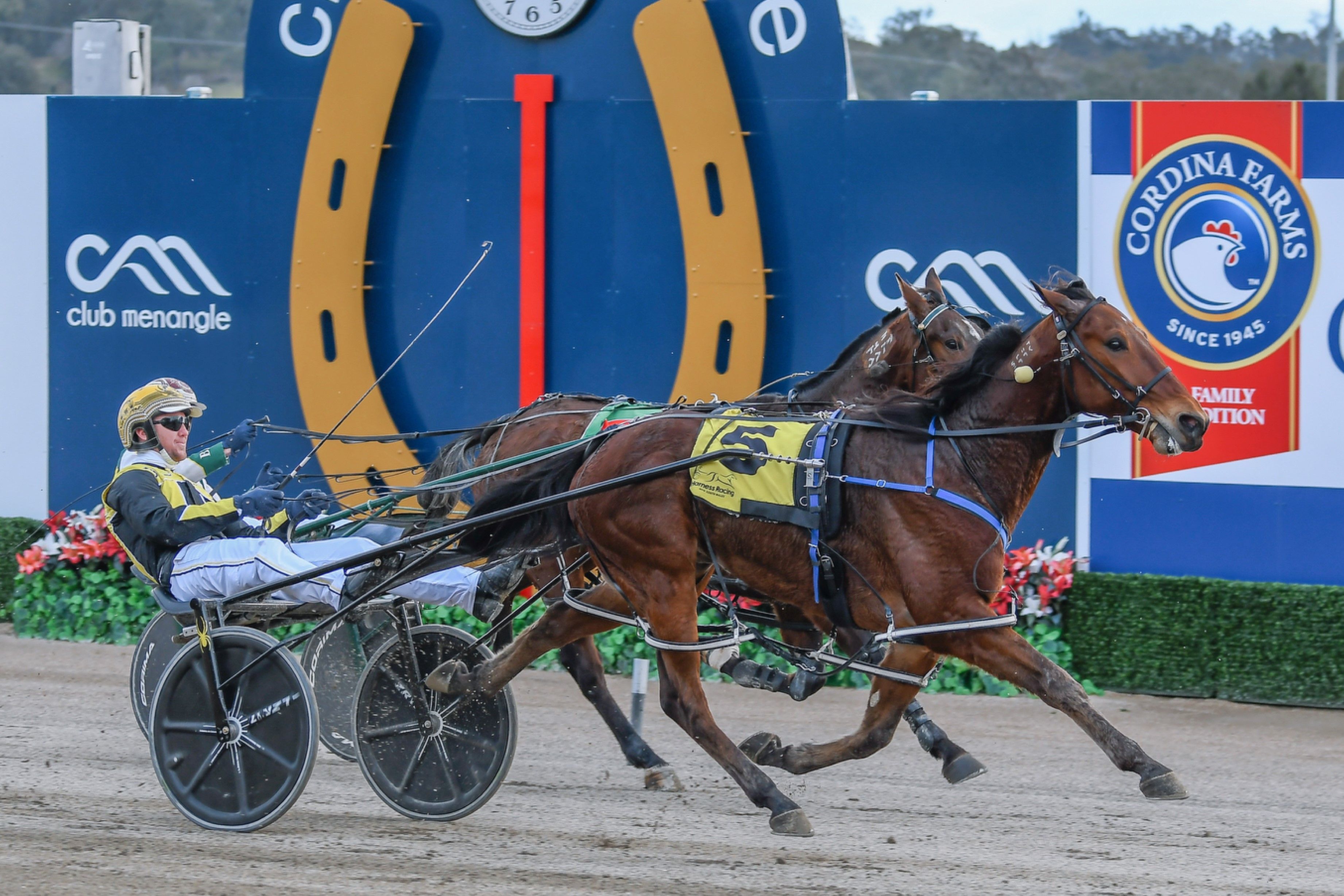 Riverina boy lines up for a treble | National Trotguide