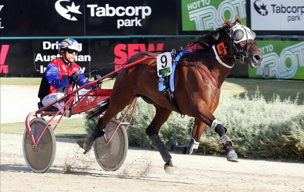 Melton Harness Races | National Trotguide