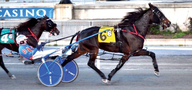 Jack’s Legend 2020-10-19 | National Trotguide