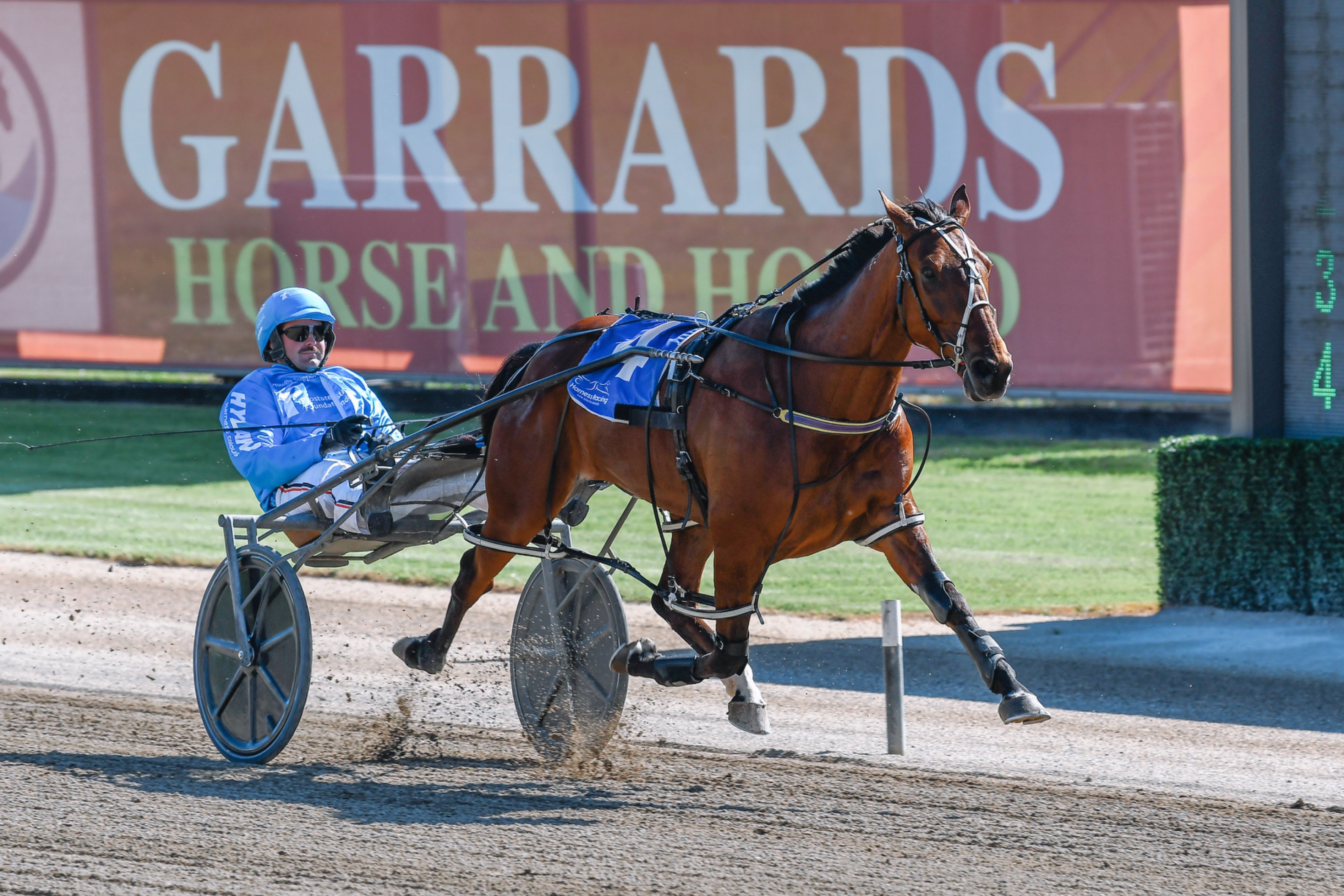 Vinny Chase | National Trotguide