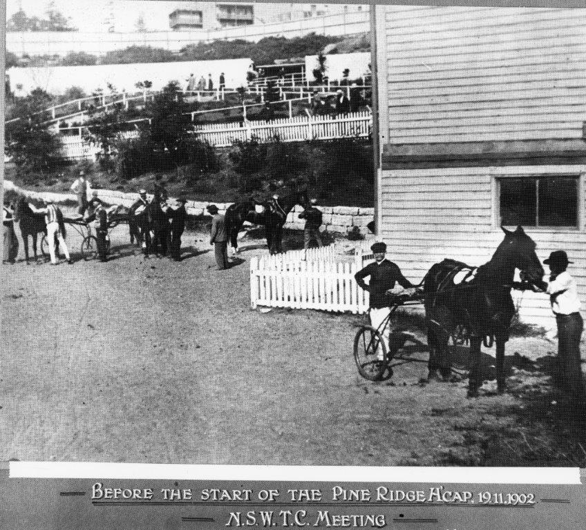 Where have those 118 years gone? | National Trotguide